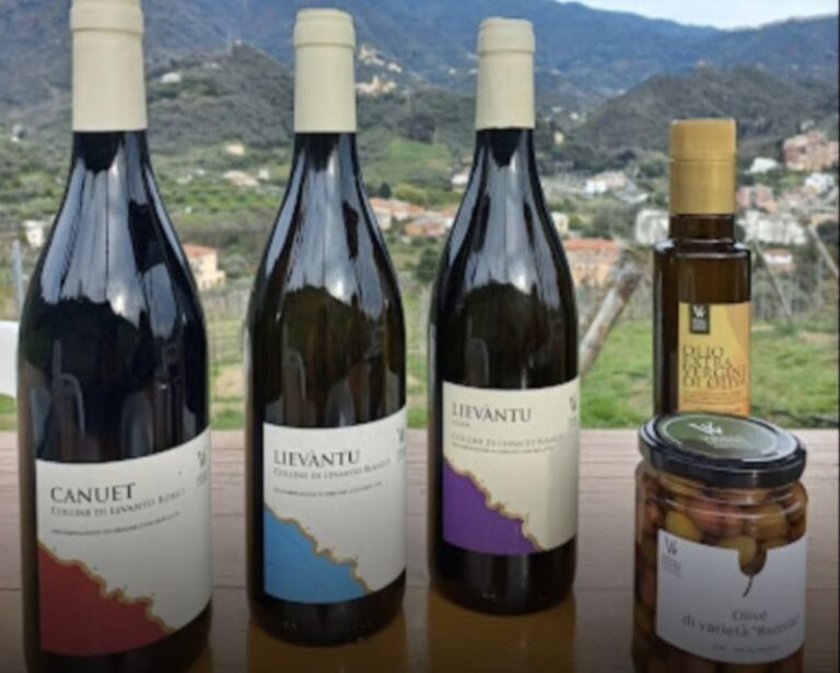 Lievàntu Wine Experience: Tour & tasting in Levanto Valley - The Itinerary: Walking through a Living Landscape