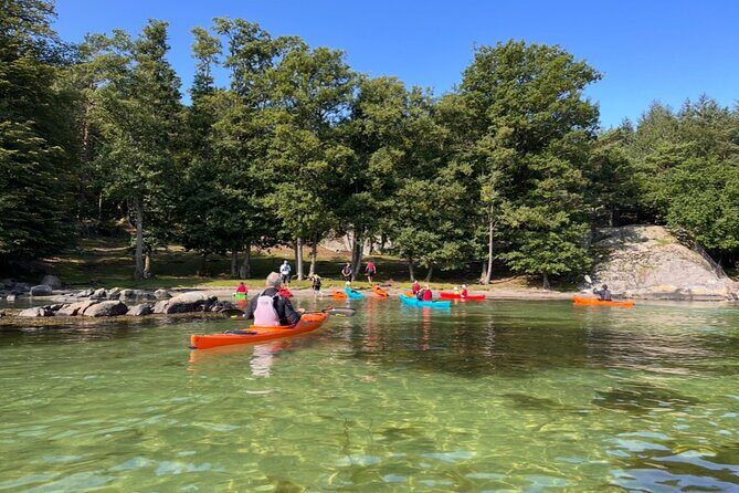 Lillesand Coastal Kayak Tour - Local Nature & Adventure - Final Thoughts