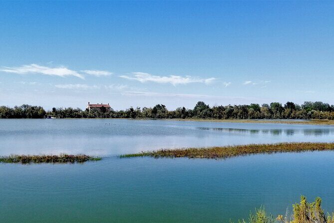 Lio Piccolo: Flamingos & Birdwatching Bike Tour in the Lagoon - Practical Details: What to Expect