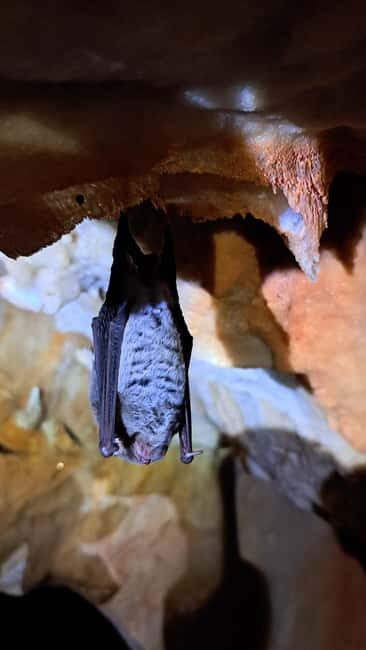 Lisbon: Arrábida Natural Park Cave Tour with Guide - The Itinerary: What to Expect from Start to Finish