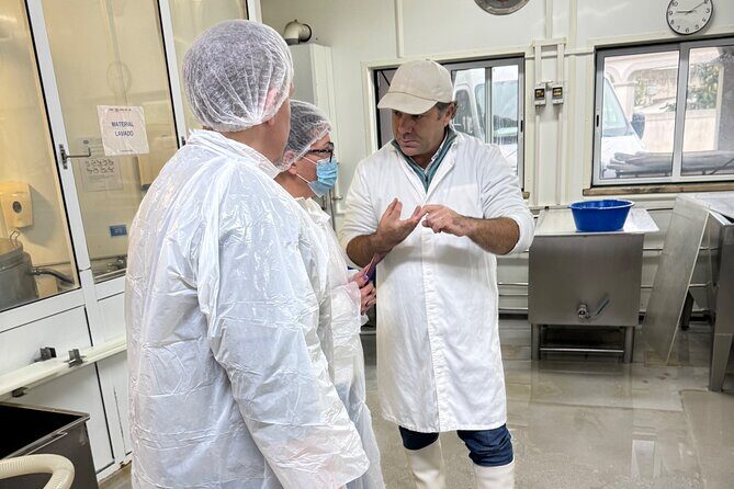 Lisbon Cheese Factory Visit, Wine Tasting and Tile Painting Tour - Authentic Experiences That Shine