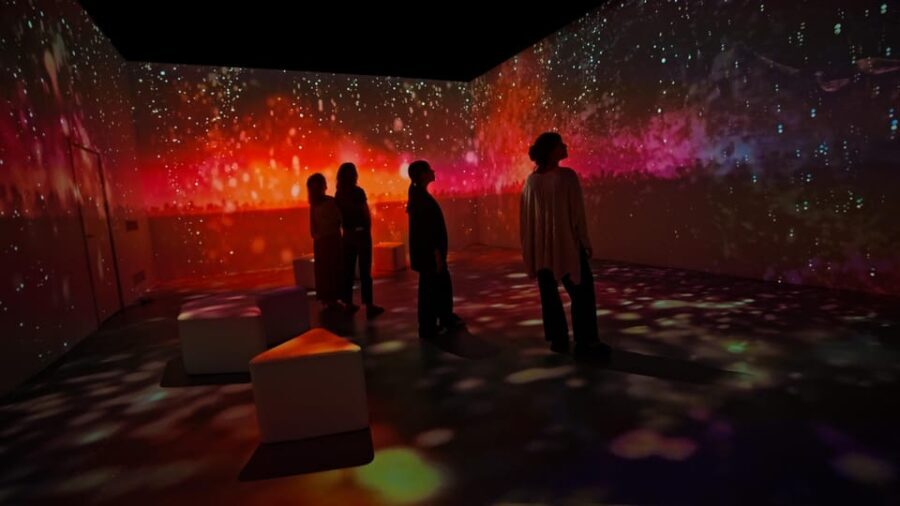 Lisbon: Experience the Queen of Fado at AH AMÁLIA - Detailed Breakdown of the Experience