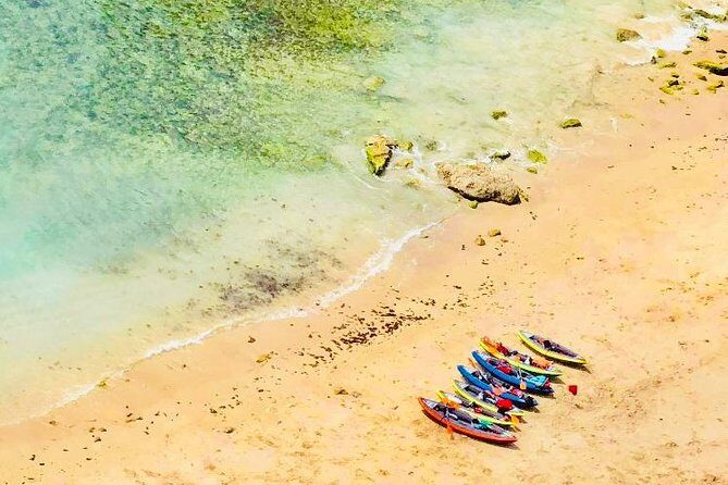 Lisbon Kayak Tour (Transfer & Lunch) - Detailed Look at the Itinerary