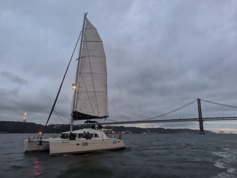 Lisbon: New Year's Eve Tagus River Cruise with Open Bar - Who Is This Tour Best For?
