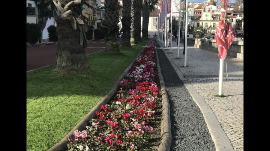 Lisbon: Pena Palace, Sintra, Cascais, and Cabo Roca Day Trip - The Practical Side: What You Need to Know