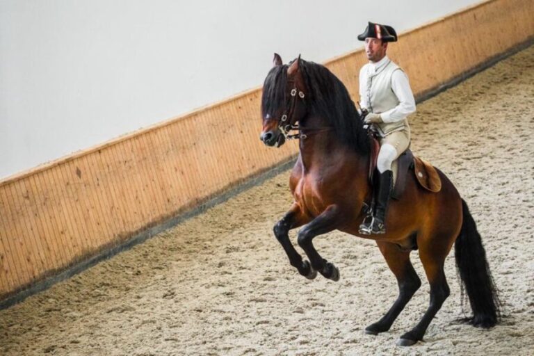 Lisbon: Portuguese Riding School Trainig with Lusitano Horse - Why Choose This Tour?