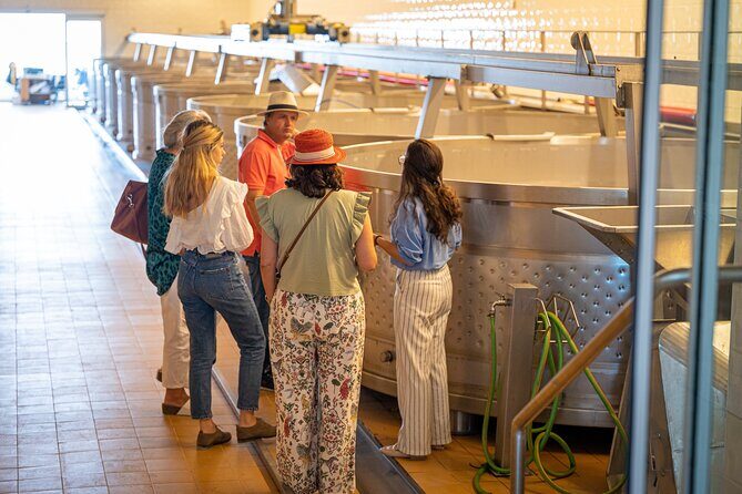 Lisbon: Private Arrábida & Comporta Wine Tour - What’s Included and What’s Not