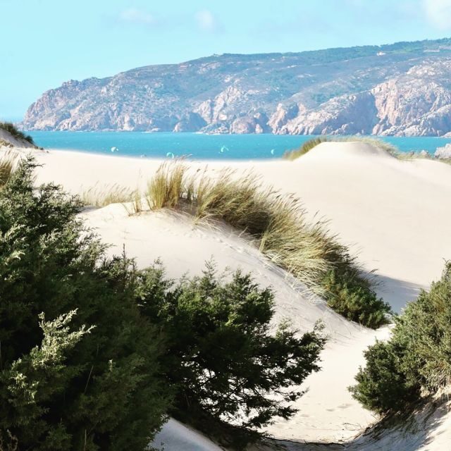 Lisbon: Tailored Tour - Who Should Consider This Tour?