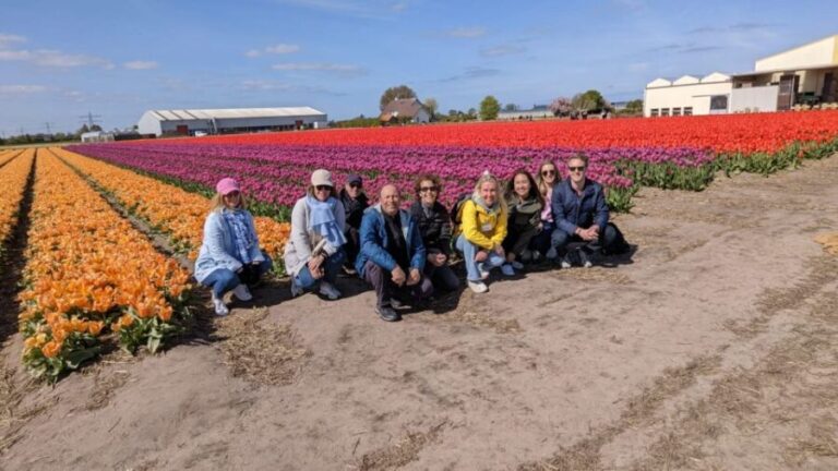 Lisse: Enjoy the Tulip Fields by Bike with a Local Guide! - Practical Details: What You Need to Know
