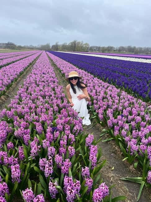 Lisse: Private Tulip Fields Tour with a Local Guide 1h Tour - An Itinerary That Fits in Your Day
