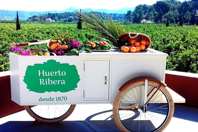 Live an Experience Among Orange Trees in Huerto Ribera - Why This Tour Is Great for Travelers