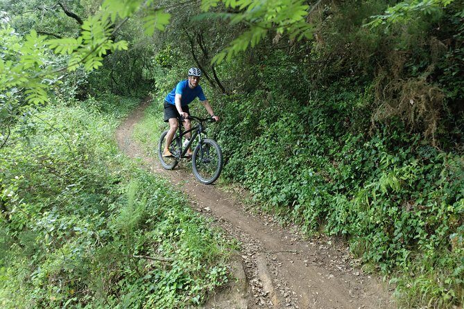 Lizandro Trails - Mountain Biking - In-Depth Look at the Tour