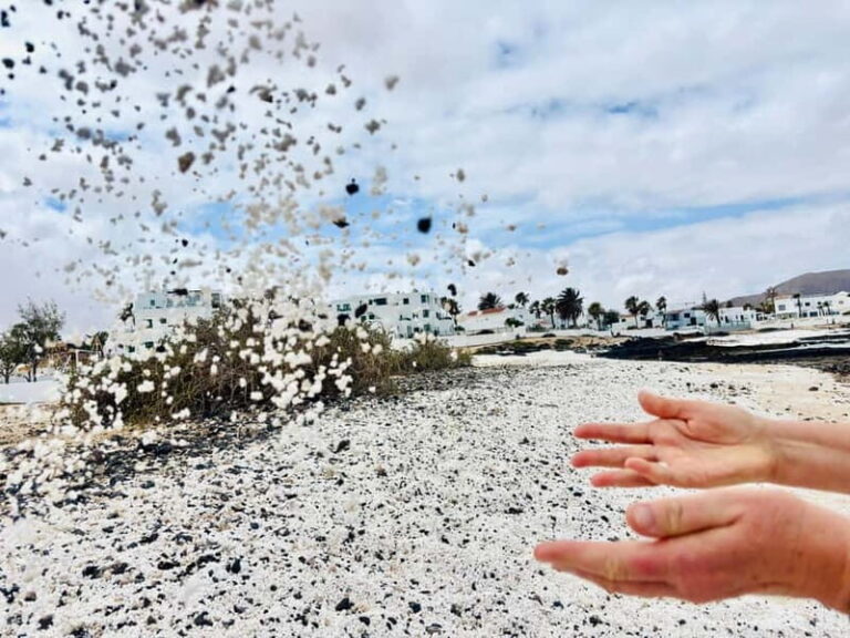 Lobos,Dunes,Popcorn Beach: small 8 persons group with guide! - The Practical Side: Transportation, Timing, and Group Dynamics
