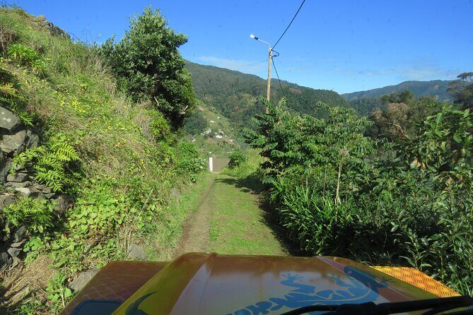 Local Farmers Market and 4WD Experience from Funchal - Who This Tour Is Perfect For