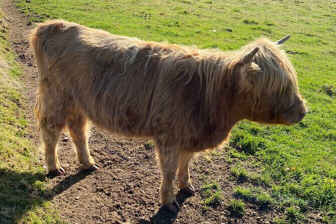 loch Ness, Clava Cairns, Culloden, COO,S, DRAMS & Outlander sites - Why This Tour Offers Great Value