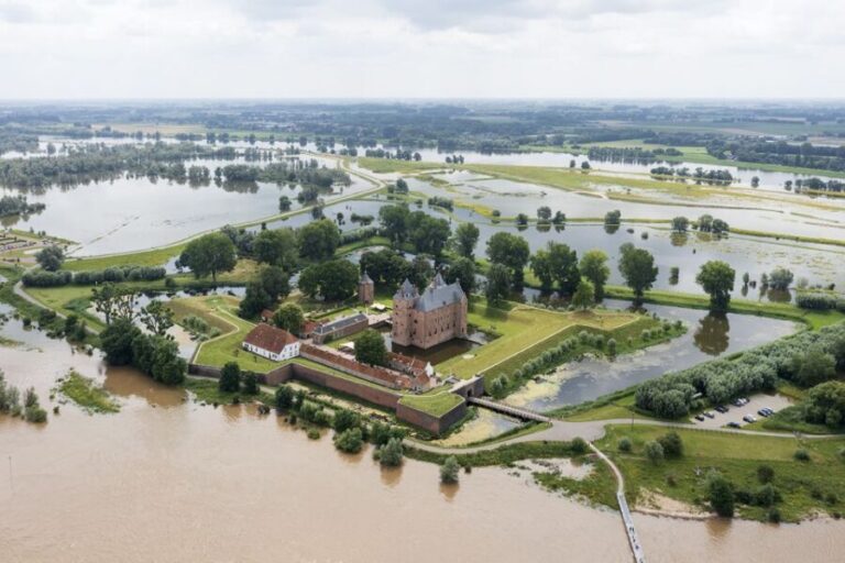 Loevestein Castle Entry Ticket - What to Expect During Your Visit