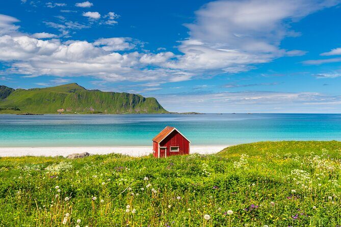 Lofoten Highlights Photo Tour - Reine, Hamnøy & Å - A Deep Dive into the Lofoten Highlights Photo Tour