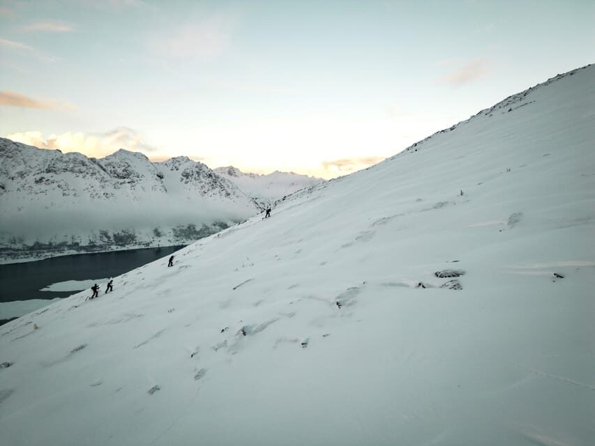 Lofoten Islands: Guided Snowshoeing Tour - Uphill version - The Experience in Review