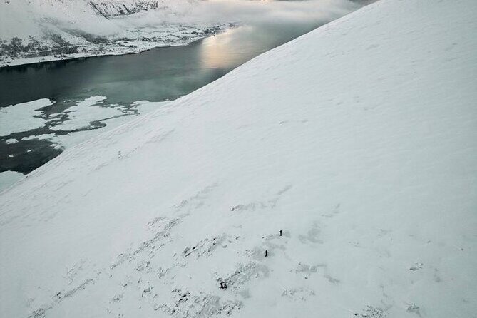 Lofoten Islands: Guided Snowshoeing Tour - Uphill version - What’s Included and What to Bring