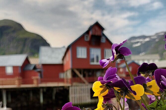 Lofoten VIP PRIVATE Tour from Leknes city / port - Frequently Asked Questions (FAQs)