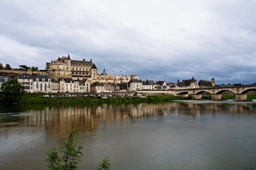 Chateau d Amboise overlooking the Loire river and historic town