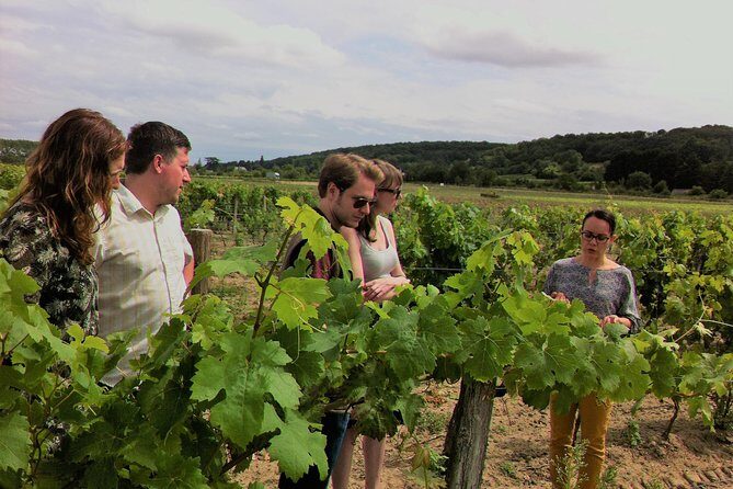 Loire Valley Half Day Wine Tour from Tours : 2 local wineries - Transportation and Group Dynamics
