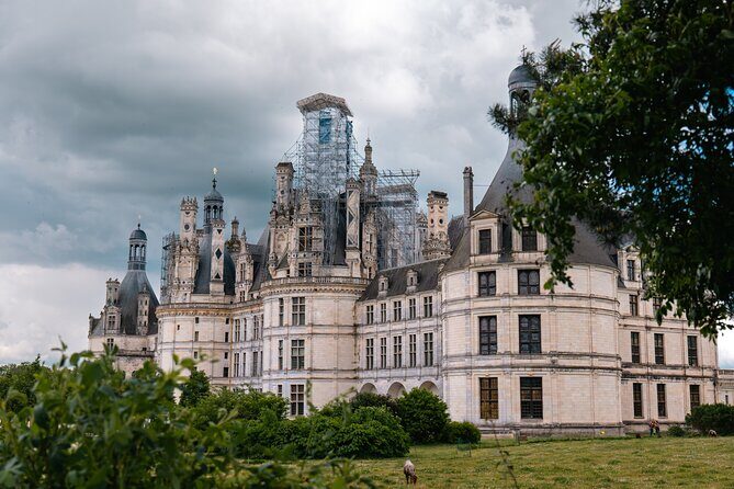 Loire Valley Tour Chambord and Chenonceau from Tours or Amboise - The Sum Up