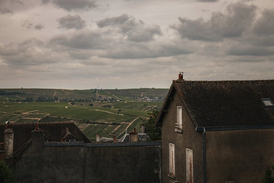 Loire Valley vineyards stretching toward the horizon near Sancerre