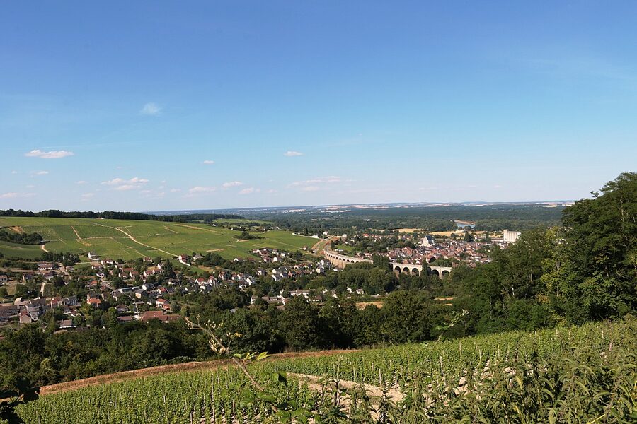 Sancerre Sauvignon Blanc vineyards in summer light