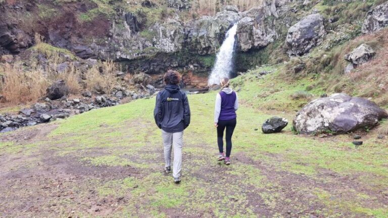 Lomba de São Pedro: Waterfall Hiking Tour with Tea Tasting - The Sum Up: Is This Tour Right for You?