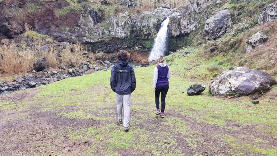 Lomba de São Pedro: Waterfall Hiking Tour with Tea Tasting - The Sum Up: Is This Tour Right for You?