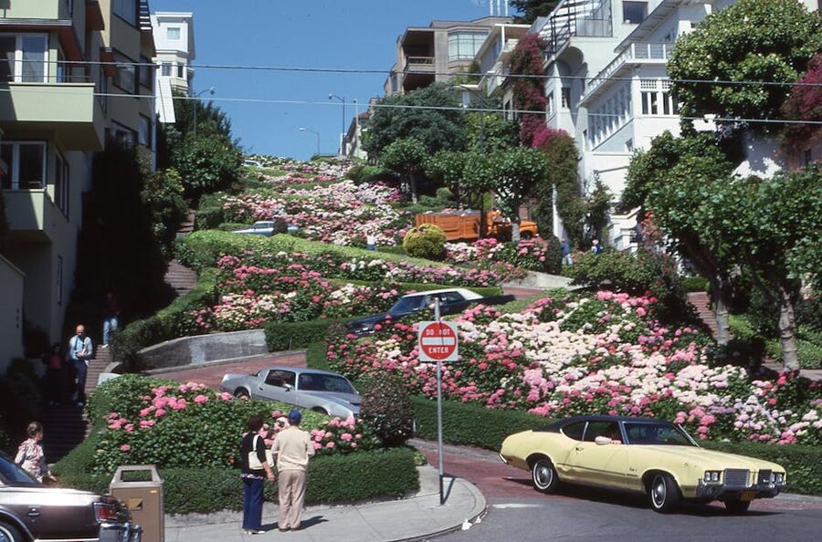 Lombard Street crooked block with flowers and traffic, San Francisco