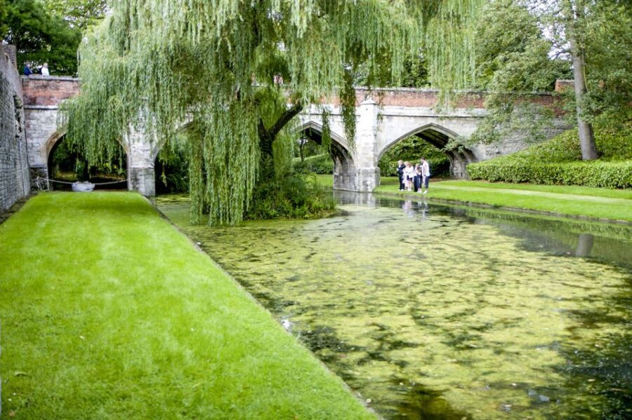London: Entry Ticket to Eltham Palace and Gardens - A Detailed Look at Eltham Palace and Gardens