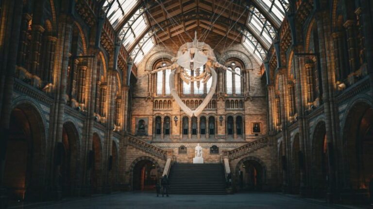 London: Guided Tour of the Natural History Museum - Practical Details and How They Affect Your Visit