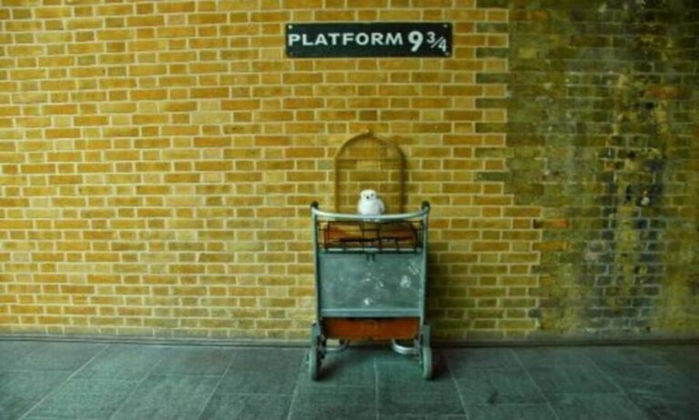 London: Harry Potter Tour, River Cruise & The London Dungeon - Scenic Thames River Cruise