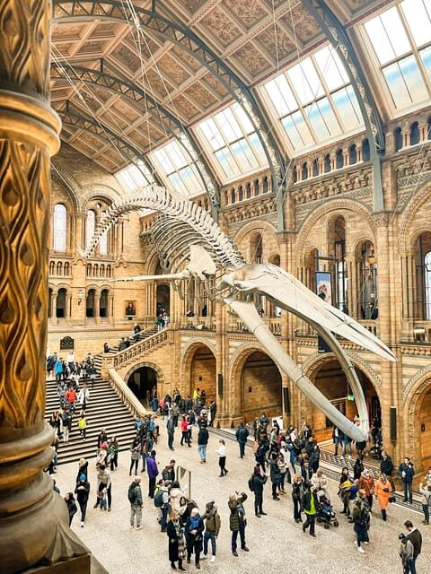 London: Natural History Museum Guided Tour - Why Choose This Tour?