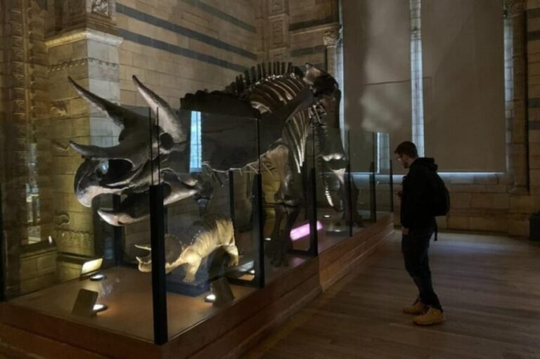 London: Natural History Museum Private Tour & Skip the line - Who Will Love This Tour?