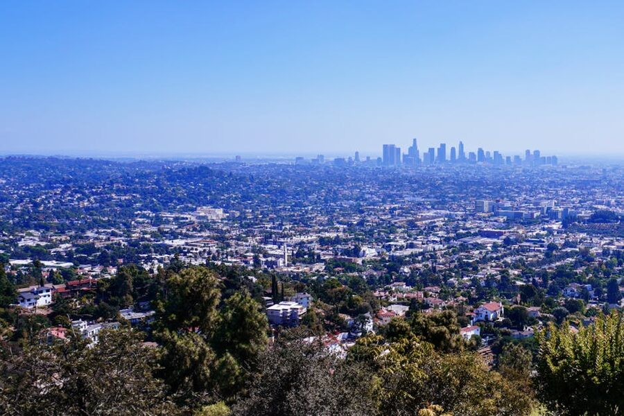 Los Angeles skyline from scenic hillside overlook