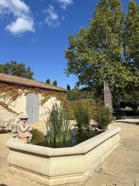 Luberon: Full-Day Wine Tour from Marseille - The Experience in Practice