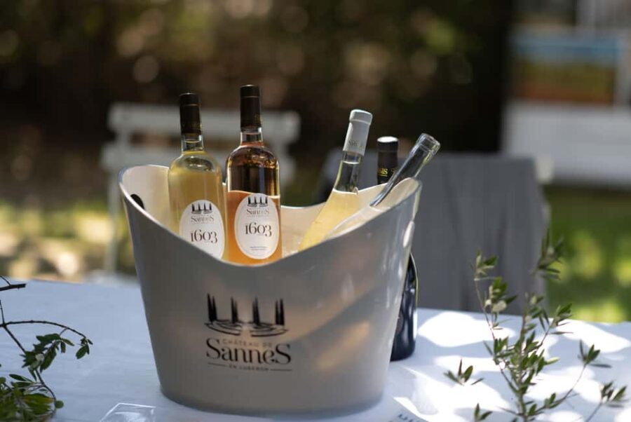 Luberon: Vineyard Tour and Wine Tasting - Final Thoughts