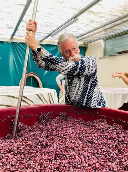 Lucca - Natural wine tasting at Tenuta Mareli - Final Thoughts