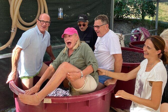 Lucca Tour and Pisa Tower + WineTasting by van from La SpeziaPort - The Sum Up