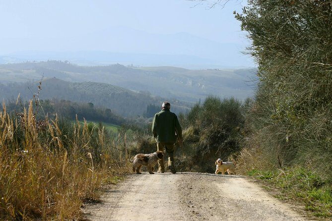 Luck and Patience: truffle hunting in Tuscany - In-Depth Look at the Truffle Hunting Tour