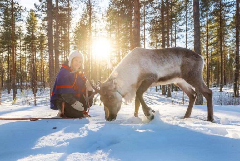 Luleå: Encounter with Reindeer Experience - Who Will Love This Tour?