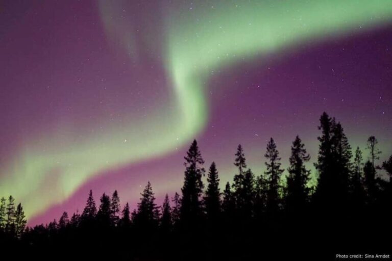 Luleå: Northern Lights Tour by Car with Swedish Treats - Price and Value