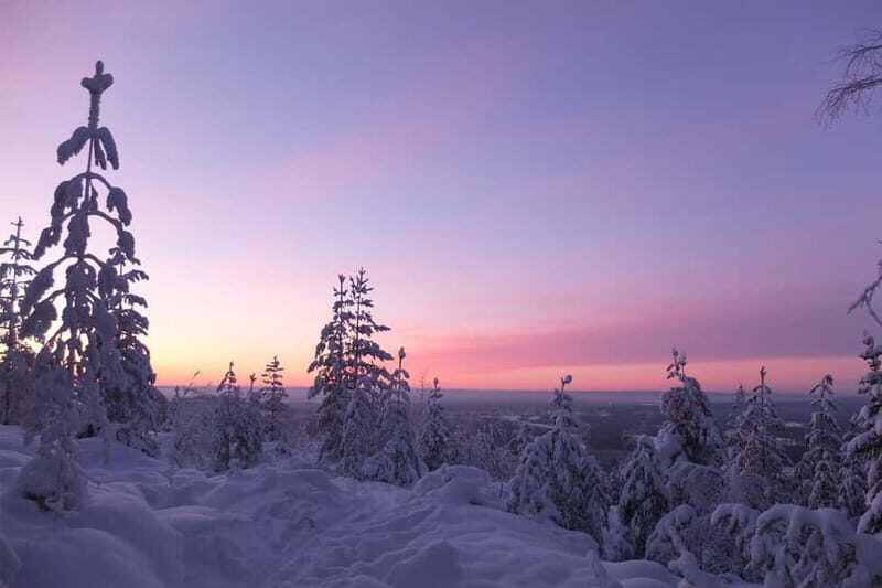 Luleå: snowshoeing in pristine nature with an expert guide! - Why We Love This Tour