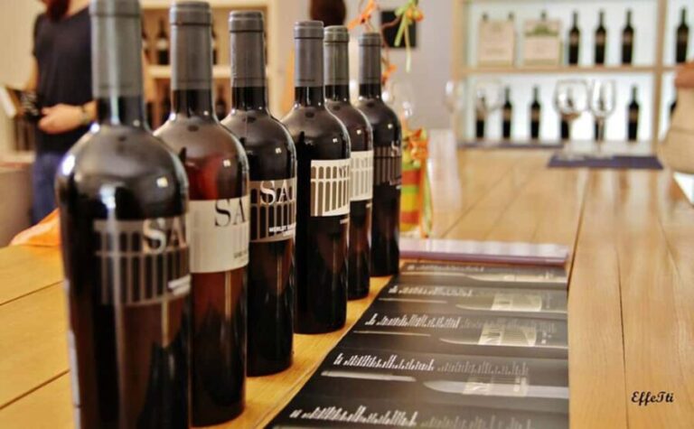 Lunch and tasting 5 wines + walk in the panoramic vineyards - A Deep Dive into the Experience