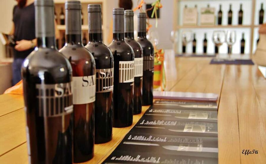 Lunch and tasting 5 wines + walk in the panoramic vineyards - A Deep Dive into the Experience