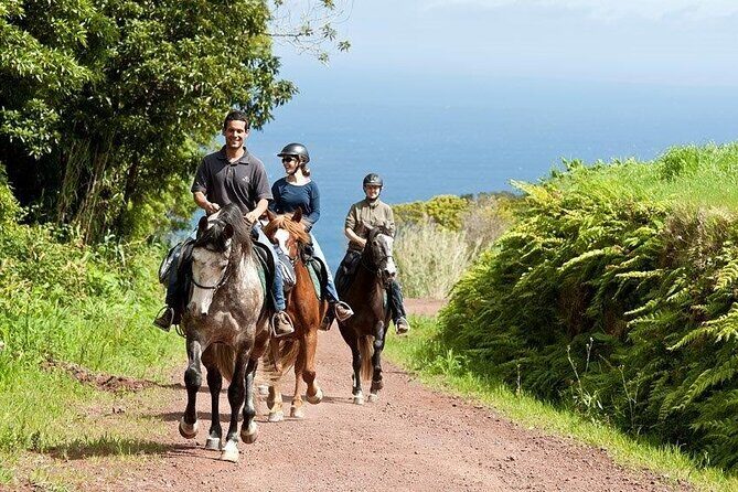 Lusitano Trail - Horseback riding for beginners - Overview of the Lusitano Trail Experience