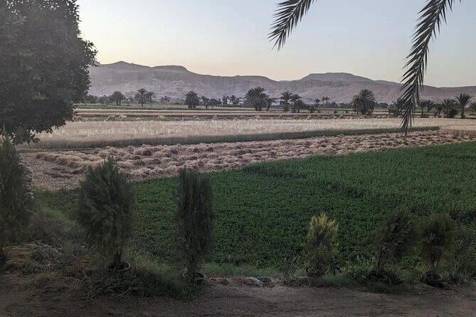 Luxor Half Day tour: Valley of the Kings, Hatshepsut and Memnon - What’s Included & What’s Not